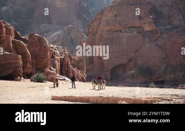 JORDAN, PETRA, DECEMBER 12, 2016: Jordanian rides on a donkey in ...