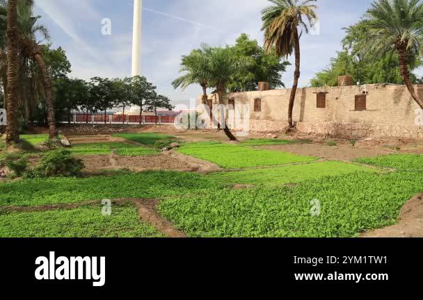Flag of the Arab Revolt and Fort Aqaba, museum Aqaba today, Hashemite ...