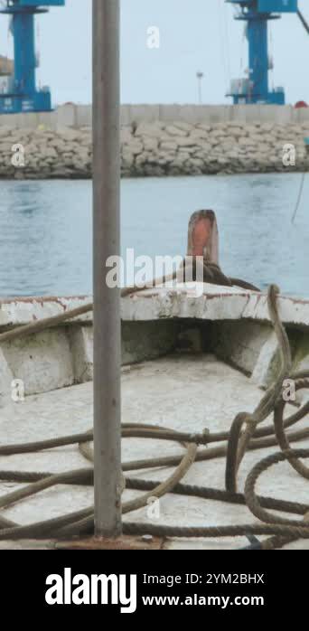 Chancay seaport. Located in Peru, Mega port under construction by the ...