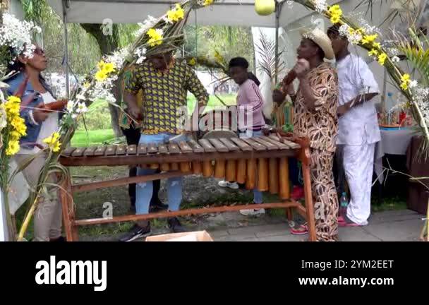 People musicians marimba Stock Videos & Footage - HD and 4K Video Clips ...