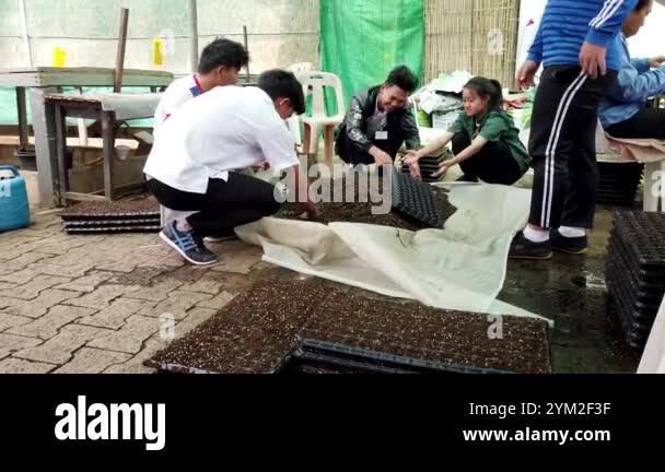 Peat beds Stock Videos & Footage - HD and 4K Video Clips - Alamy