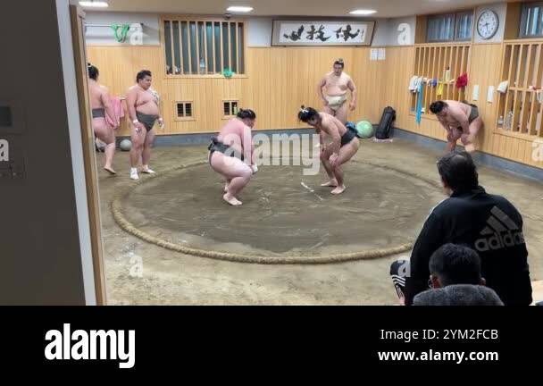 Two sumo wrestlers spar in a gym, while coaches and fellow wrestlers ... Two sumo wrestlers spar in a gym, while coaches and fellow wrestlers ...