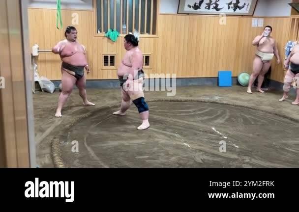 Sumo fighter Stock Videos & Footage - HD and 4K Video Clips - Alamy