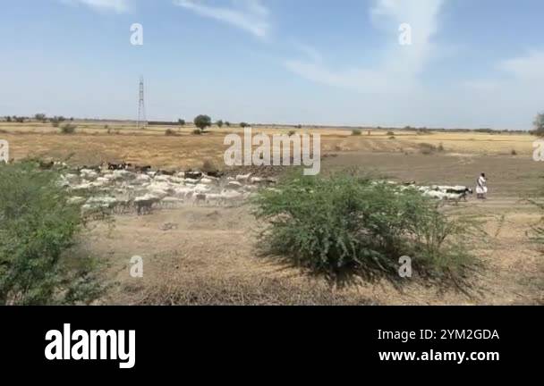 Dusty landscape india Stock Videos & Footage - HD and 4K Video Clips ...