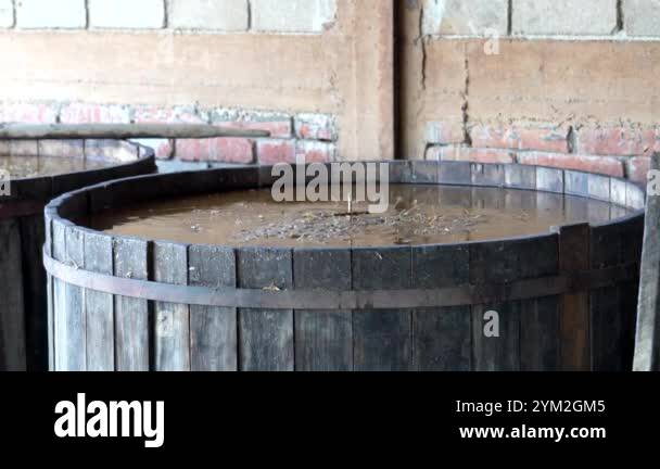 Agave fermentation process Stock Videos & Footage - HD and 4K Video ...
