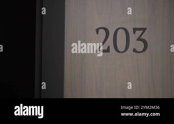 A detailed closeup view of the door featuring the number 203 ...