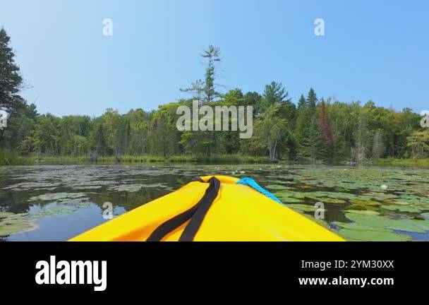 Angler POV at the wild lake during fishing in Fishing pedal PDL Drive ...
