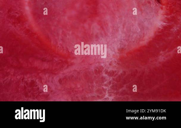 Watch as vibrant alcohol ink is expertly manipulated to form striking ...