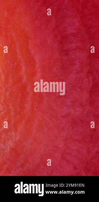 Exploring the techniques of mixing bold colors and patterns using ...