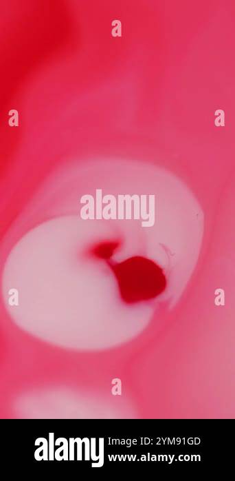 Vertical video. Paint splash. Ink motion. Defocused coral red pink ...