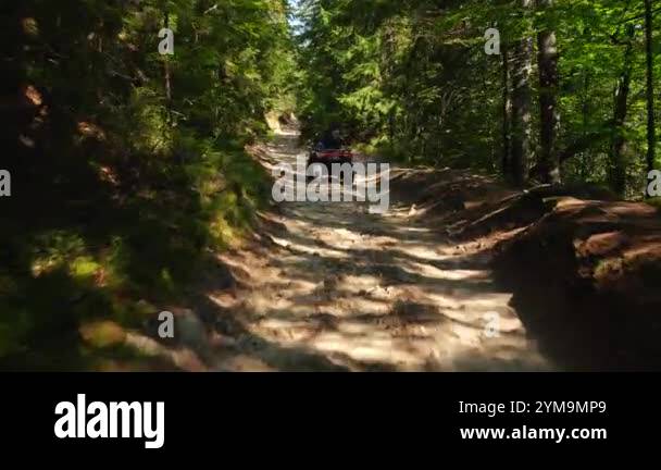 Off-road adventure. Navigating the rugged terrain of the woods ...