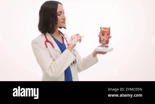 Woman doctor points to different sections of rectum model on white ...