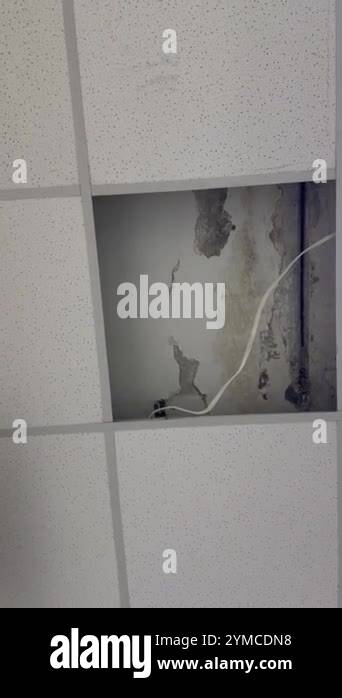 ceiling tile water damage.mold.brown stain,office building.Nasty ...