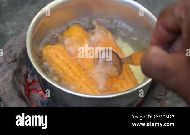 Sweet corn is being boiled. This is a complete food for humans. It ...