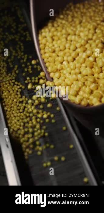 Rotating drum with sweets inside, coating of caramel sweets in a drum ...