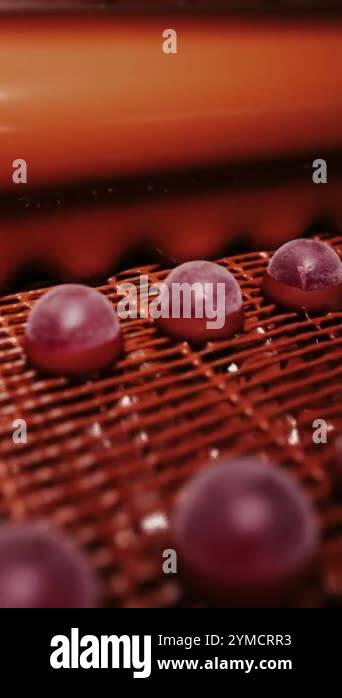 Conveyor belt in a chocolate factory. Candy production. Red round jelly ...