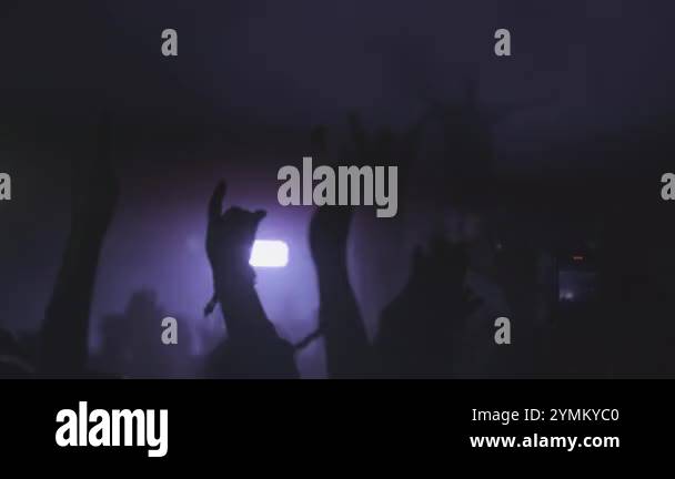 Real time back view of people raising arms and clapping while dancing ...