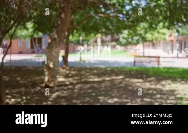 Blurred outdoor park scene with trees, grass, shadows, sunlight ...