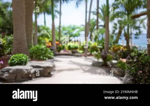Tropical resort garden pathway with lush greenery and palm trees ...
