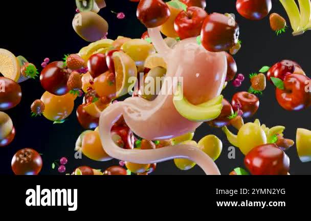 Stomach with fruits, Losing weight and nutrition, Healthy food for ...