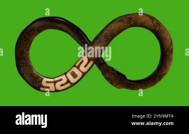 Loop 3D animation for the new year 2025. A long snake with the texture ...