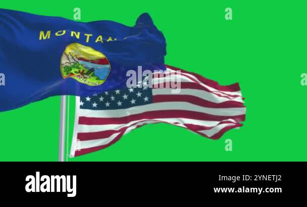 Montana state flags waving in the wind with the American flag isolated ...