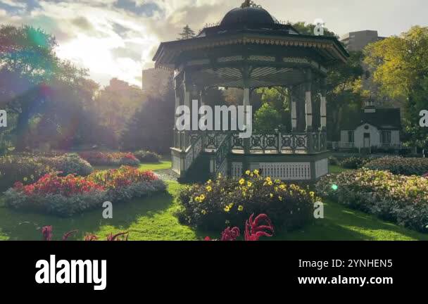 Halifax Gardens. A serene, sunny morning in the park with a light ...