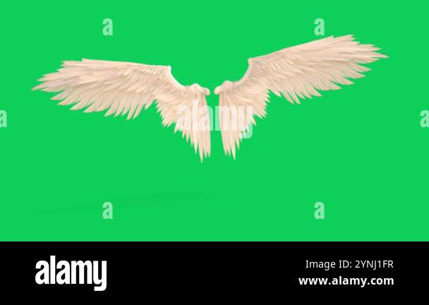 Angel wings high Resolution animated green screen 4k, The video element ...