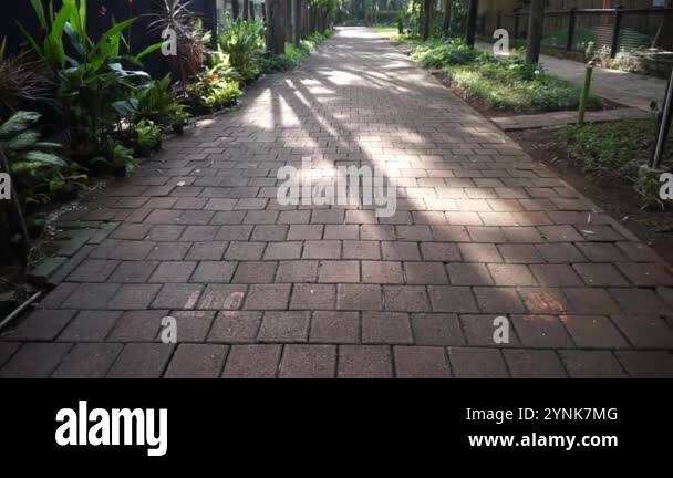 Dappled pathway Stock Videos & Footage - HD and 4K Video Clips - Alamy