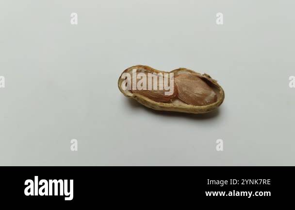 Boiled peanuts that have been peeled from the skin on a white ...