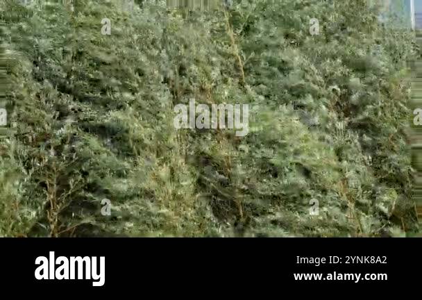 White tiles floor Stock Videos & Footage - HD and 4K Video Clips - Alamy