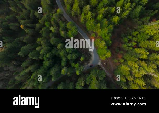 European snakes Stock Videos & Footage - HD and 4K Video Clips - Alamy