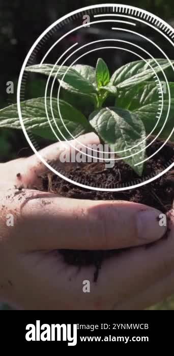 Smart digital agriculture technology by futuristic sensor data ...