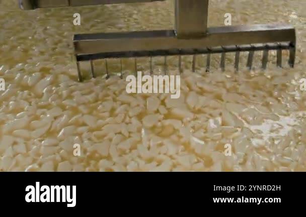 Cutting cheese wire Stock Videos & Footage - HD and 4K Video Clips - Alamy