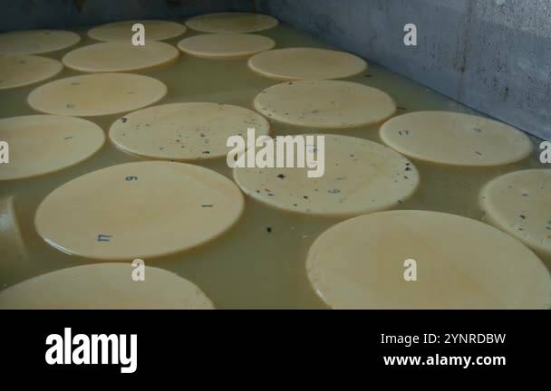 No people pan shot of multiple round wheels of pressed green cheese ...