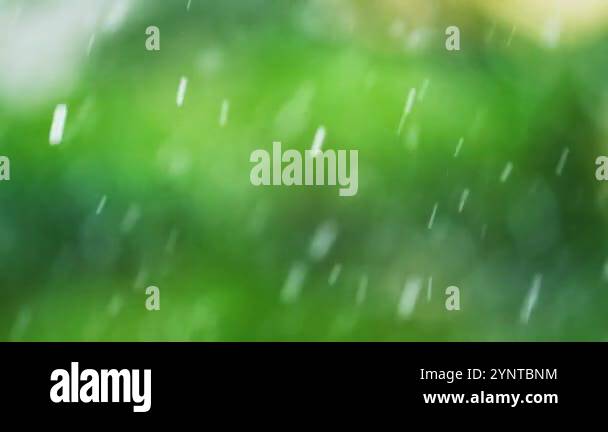 Snowfall outside the window turns the green forest into a majestic ...