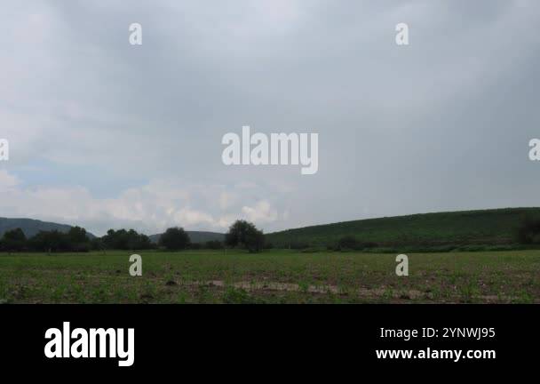 Peaceful rural scene features Stock Videos & Footage - HD and 4K Video ...