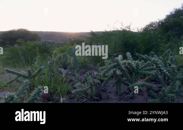 Witness the gradual transformation of a desert landscape as the sun ...