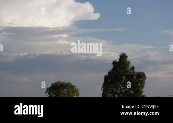 This captivating timelapse captures clouds as they drift gracefully over lush green trees. Set ...