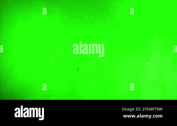 Retro effect on a chromakey background. Scratch texture on a green ...