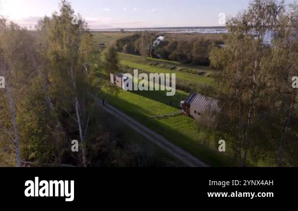 Tall trees border Stock Videos & Footage - HD and 4K Video Clips - Alamy