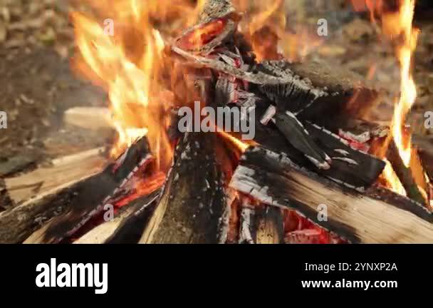 Roaring campfire, Campfire heat, Campfire light. Close-up roaring ...