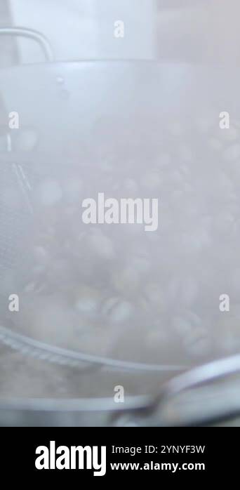 bivalve mollusks Bivalves, or Plate-gilled Bivalvia Bivalva ...