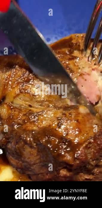 Leg, lamb, vegetables, cooking, process, roasted, oven, time lapse ...