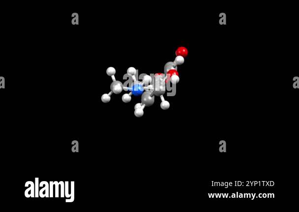 Structure of epinephrine. Animated 3D ball-and-stick and space-filled ...