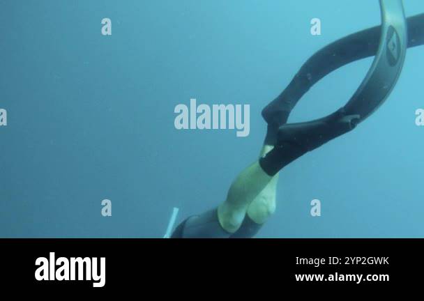 A close-up shot shows a diver submerged underwater in a sleek wetsuit ...