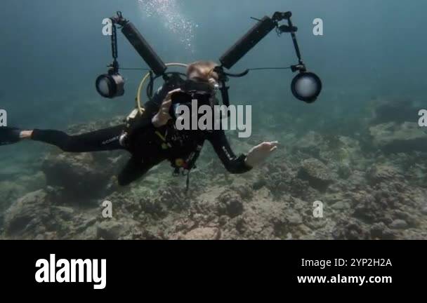 A scuba diver expertly captures stunning underwater moments with camera, while coral reefs are ...