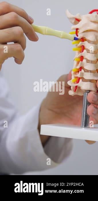 Vertical video doctor presents a detailed overview of the human spine ...