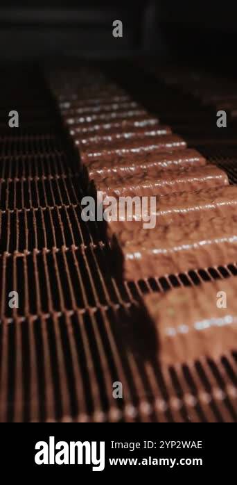 Conveyor belt in a chocolate factory. Candy production. Chocolate bars ...