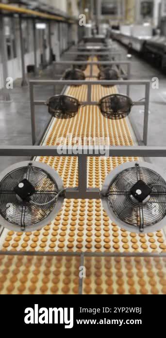 Industrial food factory or bakery, cookies on automated production line ...